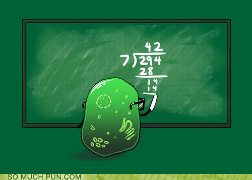 Puns - cell - Funny Puns - Pun Pictures - Cheezburger