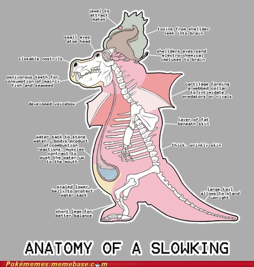 Pokémemes - Page 6 - Pokemon Memes - Pokémon, Pokémon GO - Cheezburger