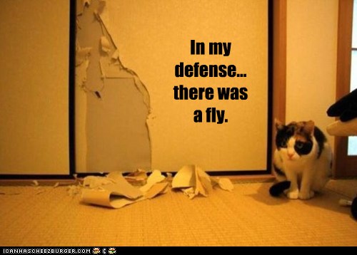 Lolcats - destruction - LOL at Funny Cat Memes - Funny cat pictures ...