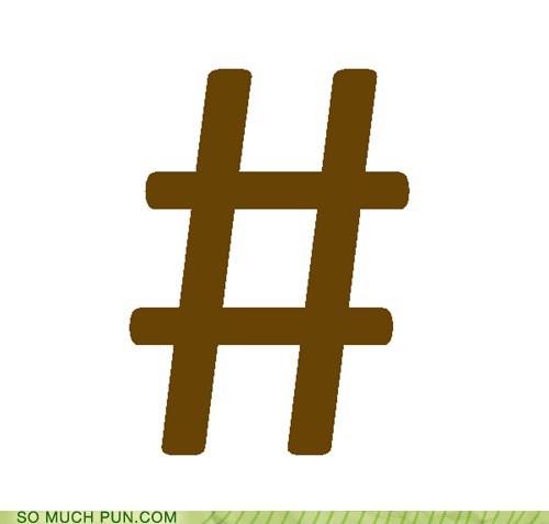 Puns - brown - Funny Puns - Pun Pictures - Cheezburger