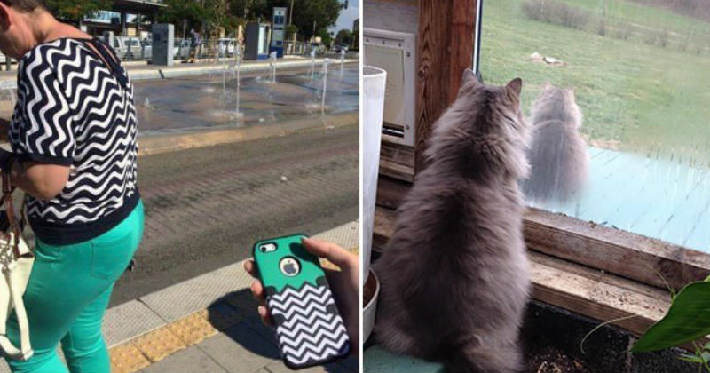 22 Mind-Blowing Glitches In The Matrix To Rattle Your Grasp On Reality ...