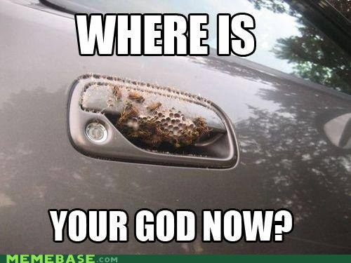 Memebase - bees is a meme - All Your Memes In Our Base - Funny Memes ...