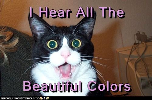I Hear All The Beautiful Colors - Lolcats - lol | cat memes | funny ...