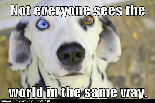 Udder Goggies Perspektive - I Has A Hotdog - Dog Pictures - Funny ...