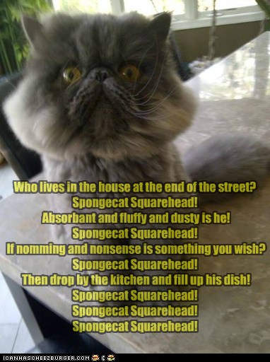 Spongecat Squarehead! - Lolcats - lol | cat memes | funny cats | funny ...