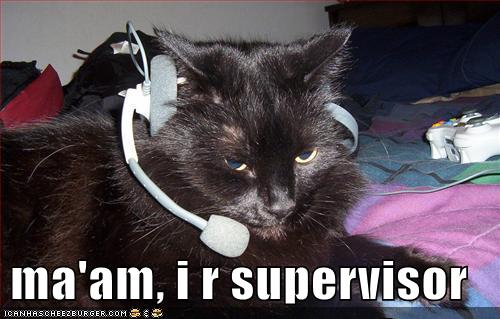 ma'am, i r supervisor - Lolcats - lol | cat memes | funny cats | funny ...
