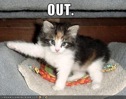 OUT. - Cheezburger - Funny Memes | Funny Pictures