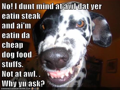 Toothed Dog Memes I Has A Hotdog Teeth Funny Dog Pictures | Dog