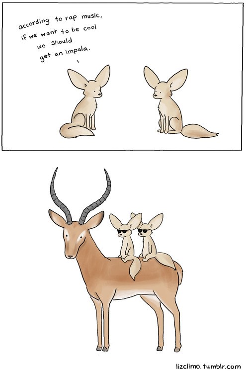 Puns - cool - Funny Puns - Pun Pictures - Cheezburger