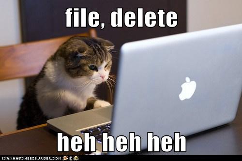 file-delete-heh-heh-heh-lolcats-lol-cat-memes-funny-cats-funny-cat-pictures-with