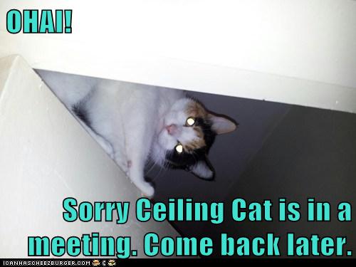 I Can Has Cheezburger? - ceiling cat - Page 4 - Funny Animals Online ...