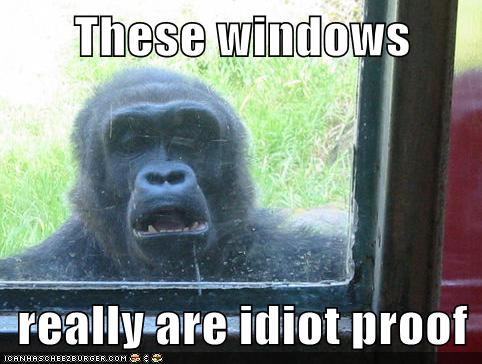 Animal Comedy - idiot - Animal Comedy - Animal Comedy, funny animals ...