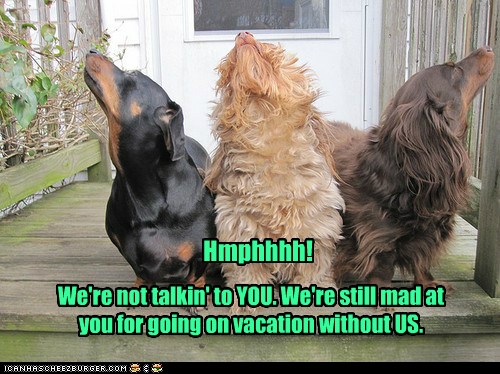 Cold Shoulders - I Has A Hotdog - Dog Pictures - Funny pictures of dogs ...