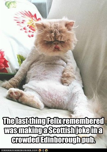 Lolcats - scottish - LOL at Funny Cat Memes - Funny cat pictures with ...
