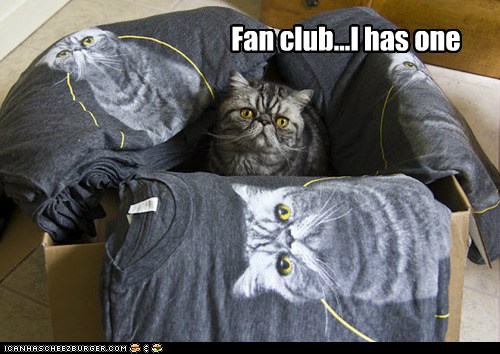Fan Club - Lolcats - lol | cat memes | funny cats | funny cat pictures ...