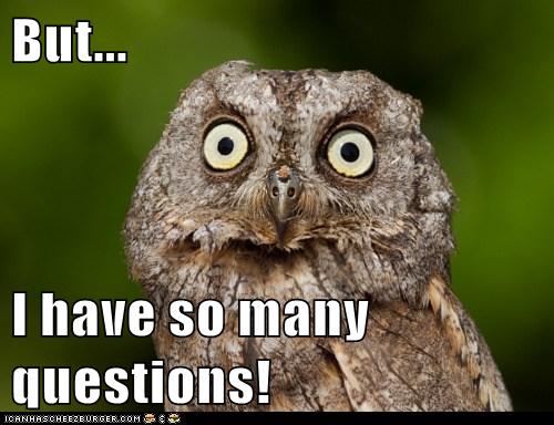 But... I have so many questions! - Cheezburger - Funny Memes | Funny ...