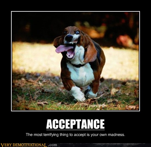 ACCEPTANCE - Very Demotivational - Demotivational Posters | Very ...