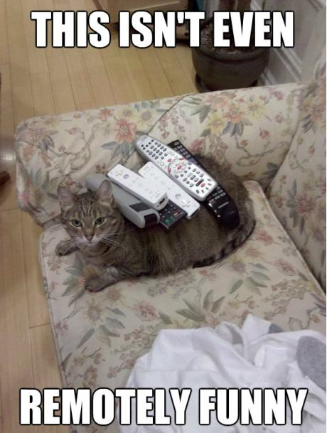 Puns - remote - Funny Puns - Pun Pictures - Cheezburger