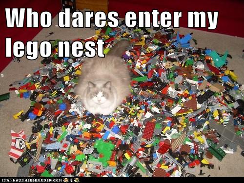 Lolcats - lego - LOL at Funny Cat Memes - Funny cat pictures with words ...