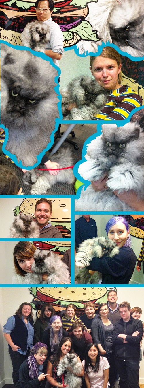 Colonel Meow Talks To The Daily What of the Day - The Daily What ...