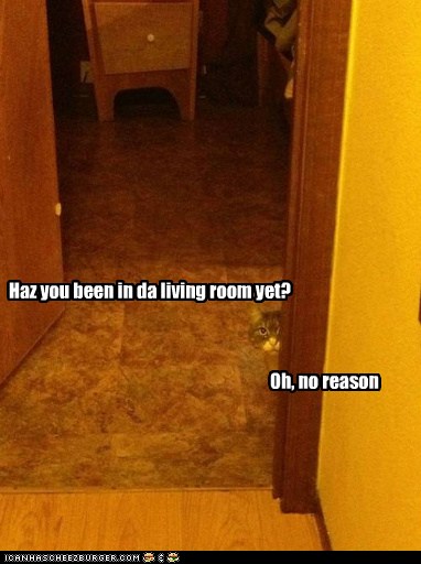 Haz you been in da living room yet? - Lolcats - lol | cat memes | funny ...