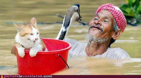 There Must be a Great Story Behind This - Picture Is Unrelated - Funny ...