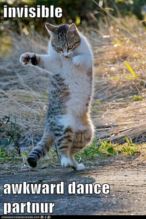 Awkward - Lolcats - lol | cat memes | funny cats | funny cat pictures ...