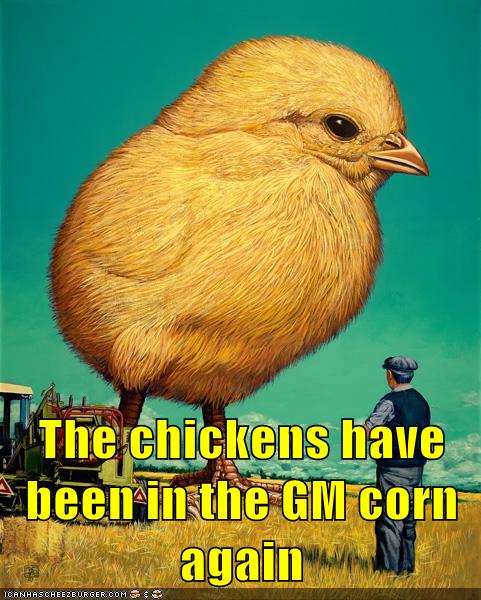Historic LOLs - chicken - funny pictures history - Cheezburger