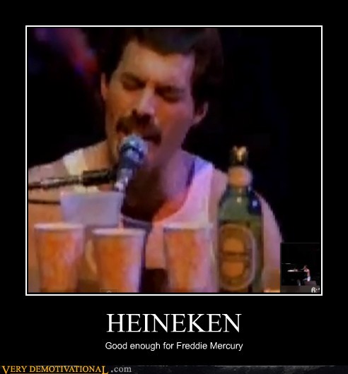 HEINEKEN - Very Demotivational - Demotivational Posters | Very ...