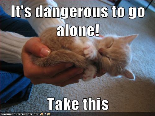 It's dangerous to go alone! Take this - Lolcats - lol | cat memes ...