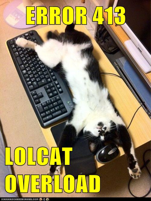 I Can Has Cheezburger? - lolcat - Page 4 - Funny Animals Online ...