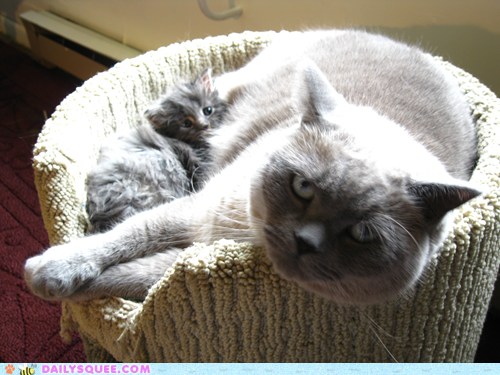 Reader Squee: Legend and Opus - Daily Squee - Cute Animals - Cute Baby ...