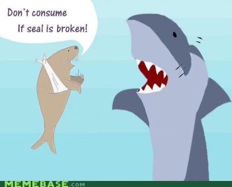 Confused Shark is Confused - Memebase - Funny Memes