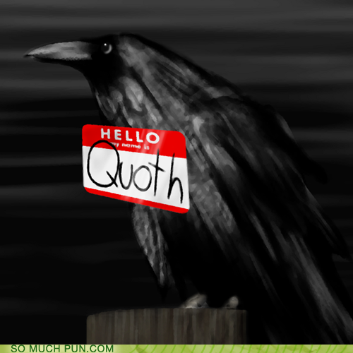 Puns - Edgar Allan Poe - Funny Puns - Pun Pictures - Cheezburger