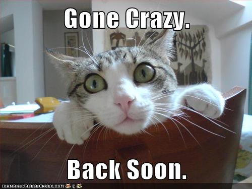 Gone Crazy. - Lolcats - lol | cat memes | funny cats | funny cat ...