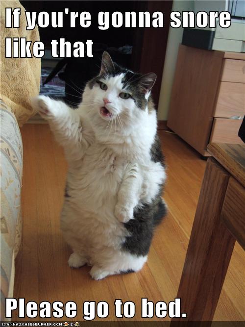 Lolcats - snore - LOL at Funny Cat Memes - Funny cat pictures with ...