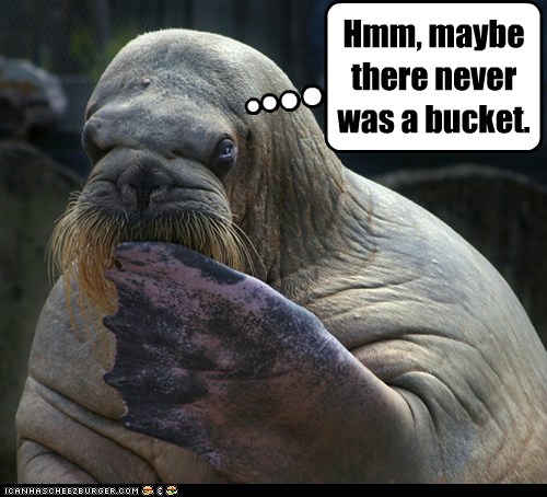Walrus Bucket
