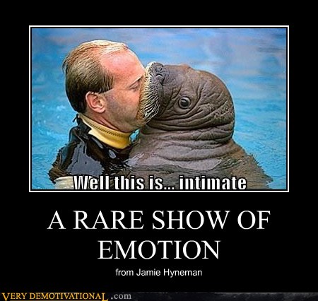 Jamie Hyneman Walrus Gif