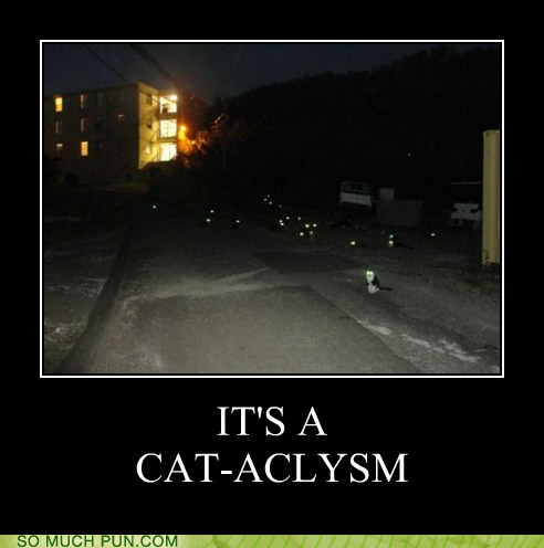 Puns - prefix - Funny Puns - Pun Pictures - Cheezburger