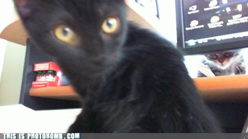 Soon - Photobombs - photobomb that guy