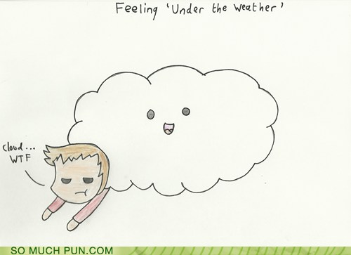 Puns - feeling - Funny Puns - Pun Pictures - Cheezburger