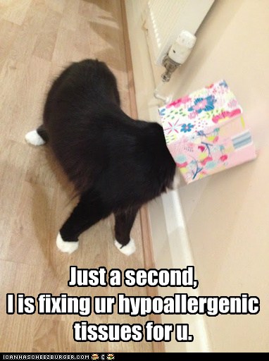 Just a second - Lolcats - lol | cat memes | funny cats | funny cat ...