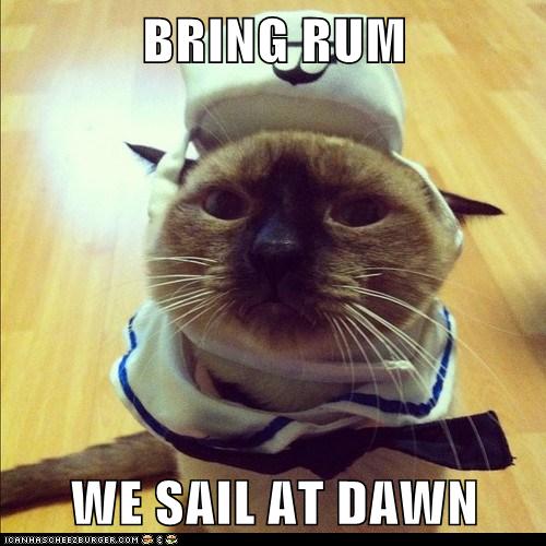 Lolcats - sail - LOL at Funny Cat Memes - Funny cat pictures with words ...