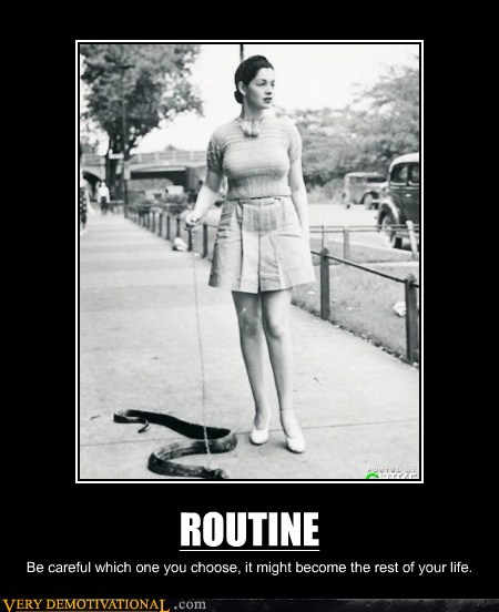 ROUTINE - Very Demotivational - Demotivational Posters | Very ...