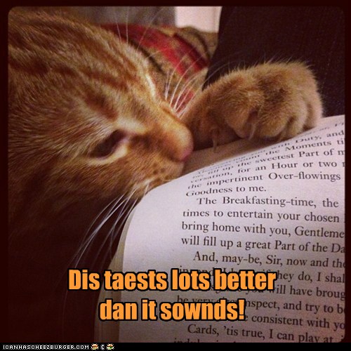 Sownded yuckie! - Lolcats - lol | cat memes | funny cats | funny cat ...