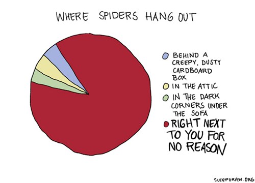 GraphJam - spiders - funny graphs - Cheezburger