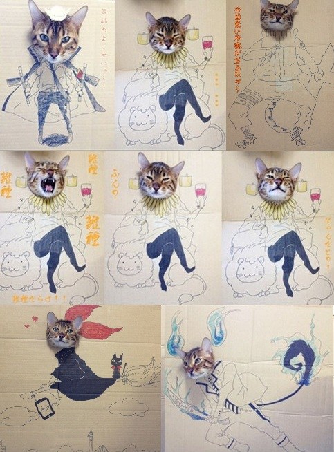 Cardboard Cat Costumes of the Day - The Daily What - Daily Dose of WHAT?