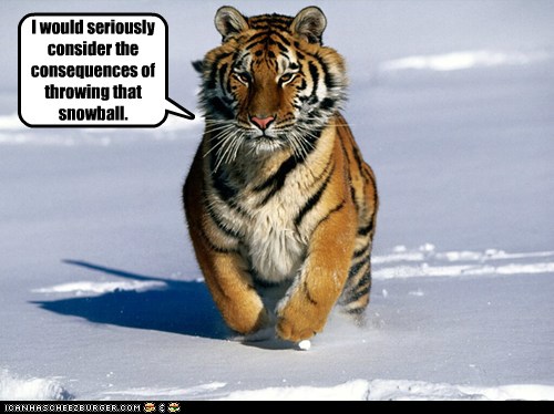Animal Comedy - tiger - Page 3 - Animal Comedy - Animal Comedy, funny ...