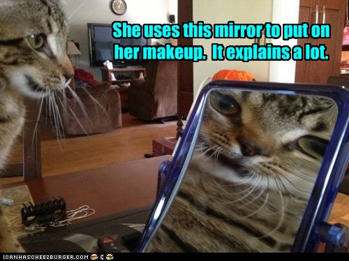 She uses this mirror to put on her makeup. - Lolcats - lol | cat memes ...