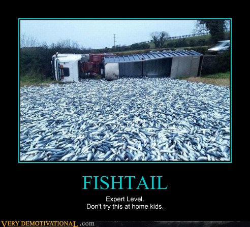 FISHTAIL - Very Demotivational - Demotivational Posters | Very ...